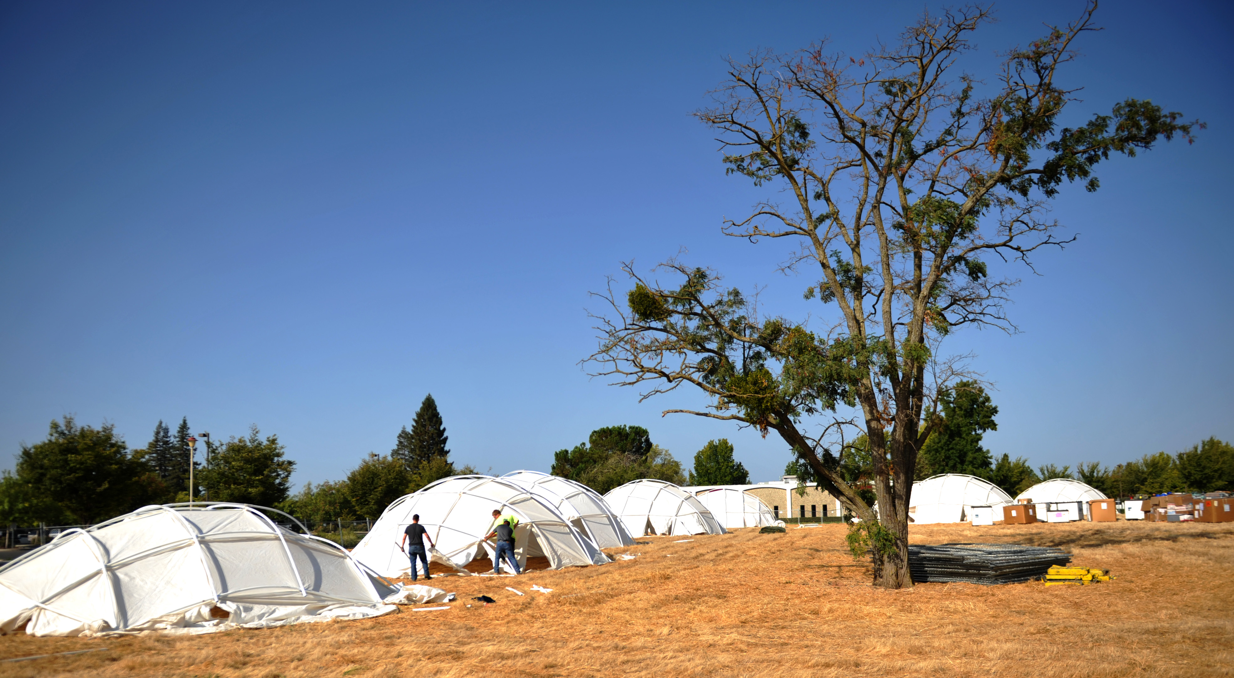 FEMA-style tents as homeless shelters? Maybe, say some King County ...