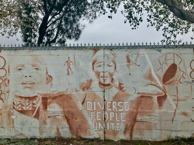 Informal housing, poverty, and legacies of apartheid in South Africa ...