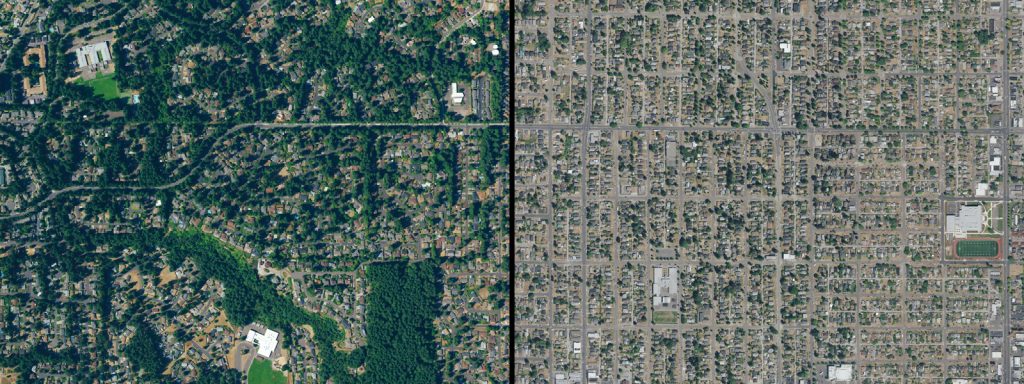 Washington and Seattle Launch Campaign to Plant Thousands of Urban ...