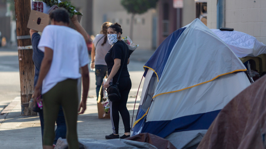 Final Report: Impact of Hotels as Non-Congregate Emergency Shelters ...