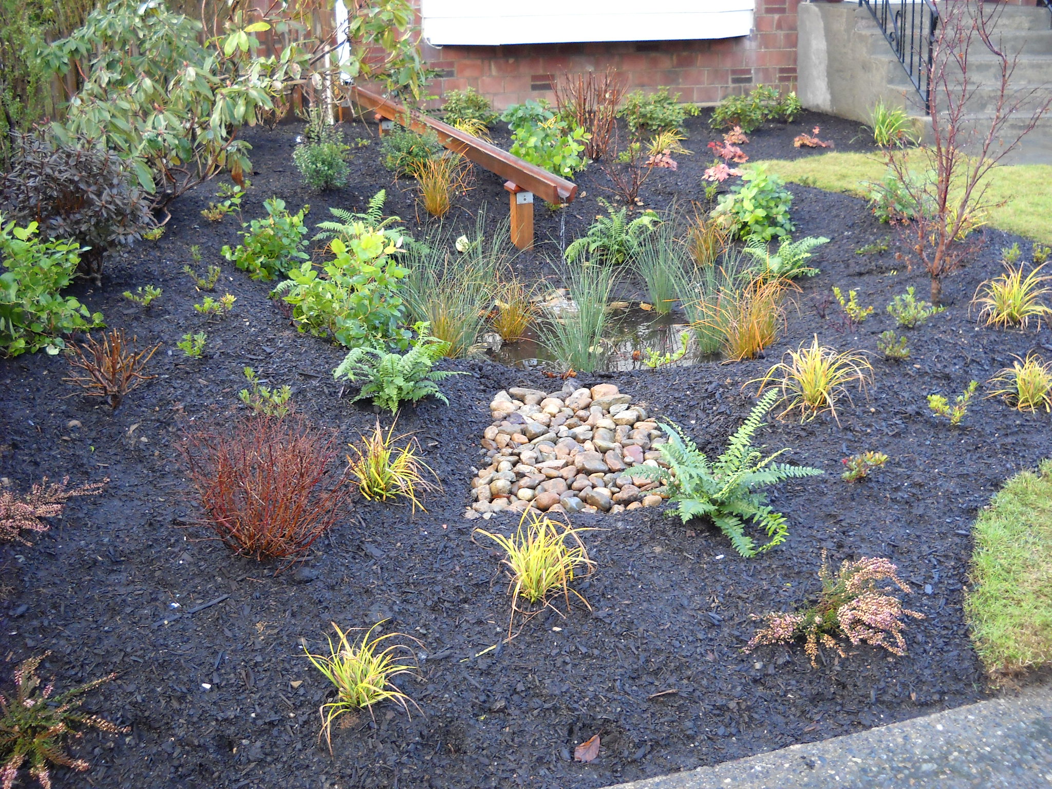‘Rain gardens’ turn backyards into water treatment facilities ...