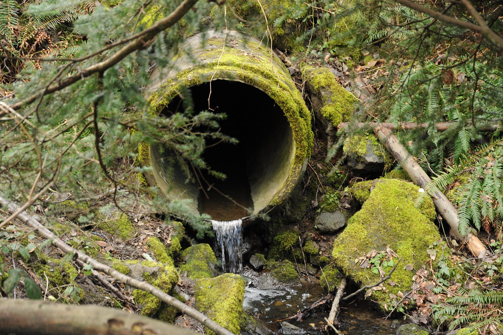 UW students designed a rover to inspect culvert conditions to help fish ...