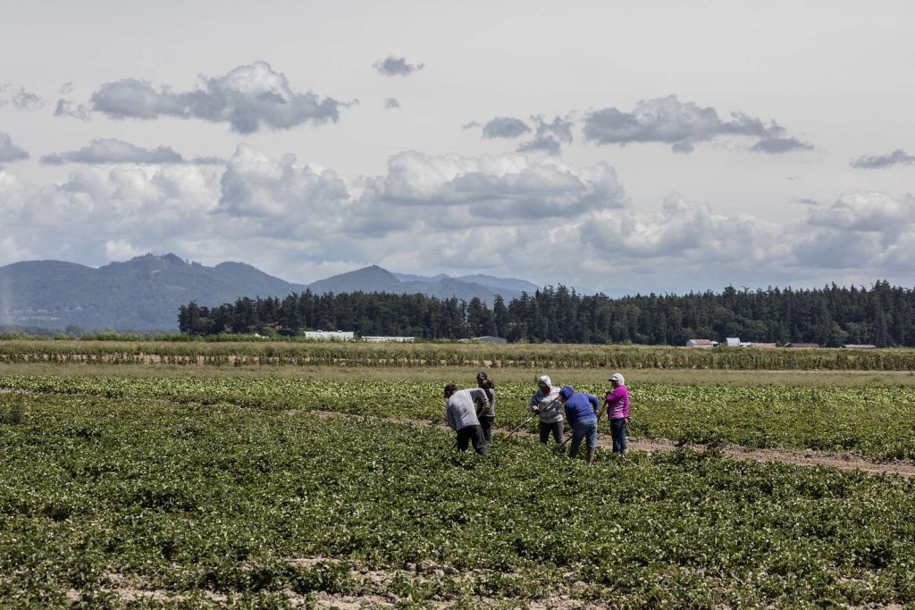 WA’s frontline communities face the brunt of climate change | Urban@UW
