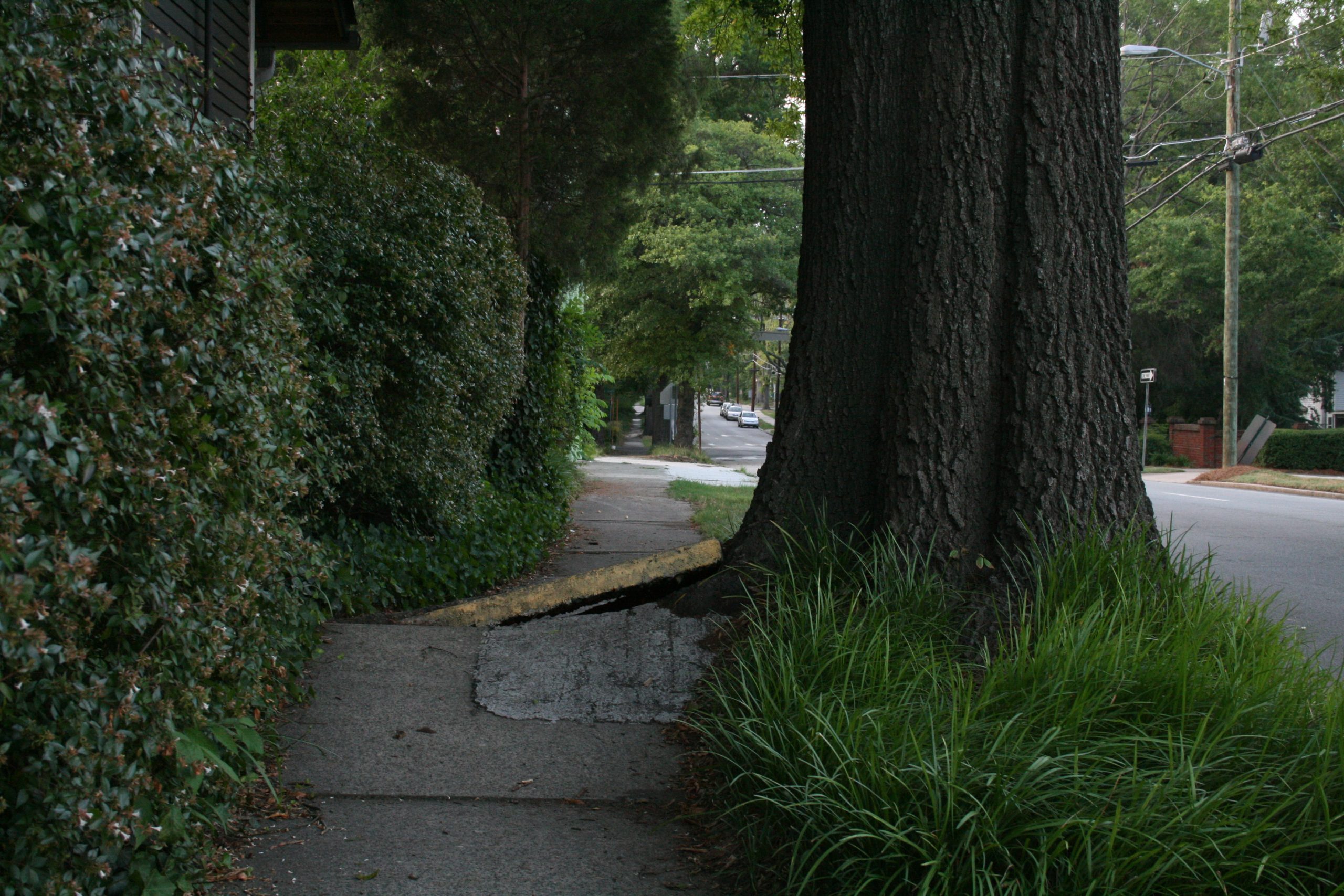 WA Faces an Epidemic of Inaccessible Sidewalks | Urban@UW