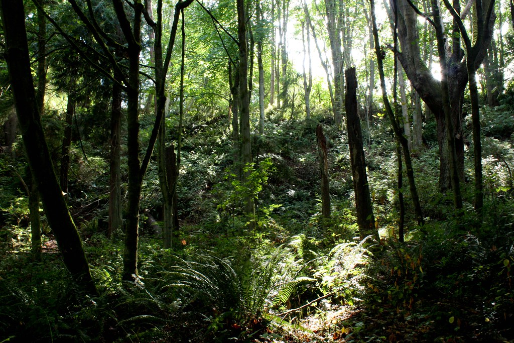 How land design is answering the cultural needs of Native Americans in ...