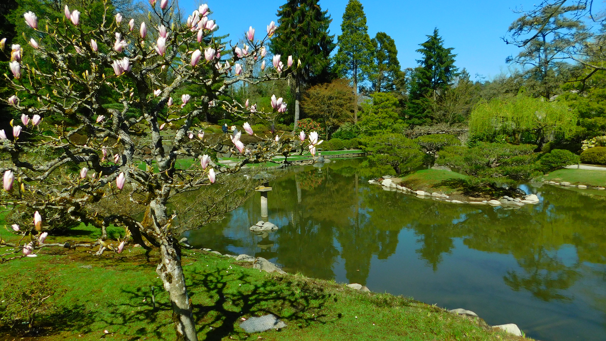 The UW Botanic Gardens is working toward creating a diverse and ...